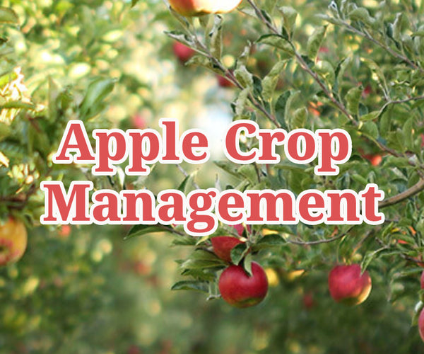 Apple Crop Management – Agriplex