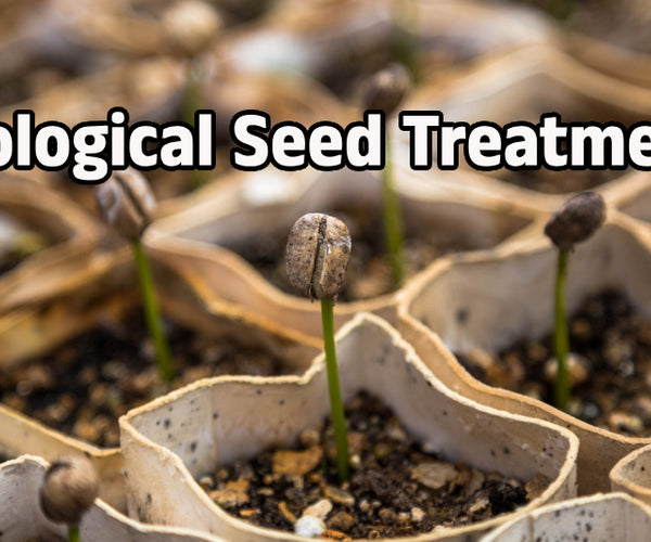 Biological Seed Treatment – Agriplex
