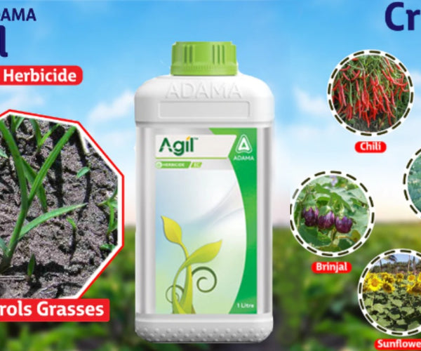 Boost Crop Productivity with Adama Agil herbicide: A Comprehensive Gui ...