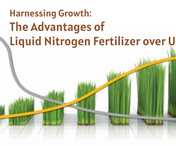 Harnessing Growth: The Advantages of Liquid Nitrogen Fertilizer over U ...
