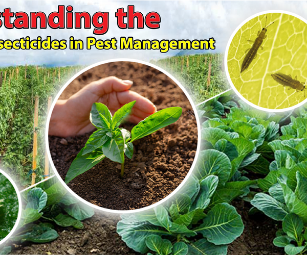 The Eco-Friendly Warriors: Understanding the Role of Bio Insecticides ...