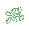 Dhaincha Seeds (Sesbania aculeata) - 25 KG – Agriplex
