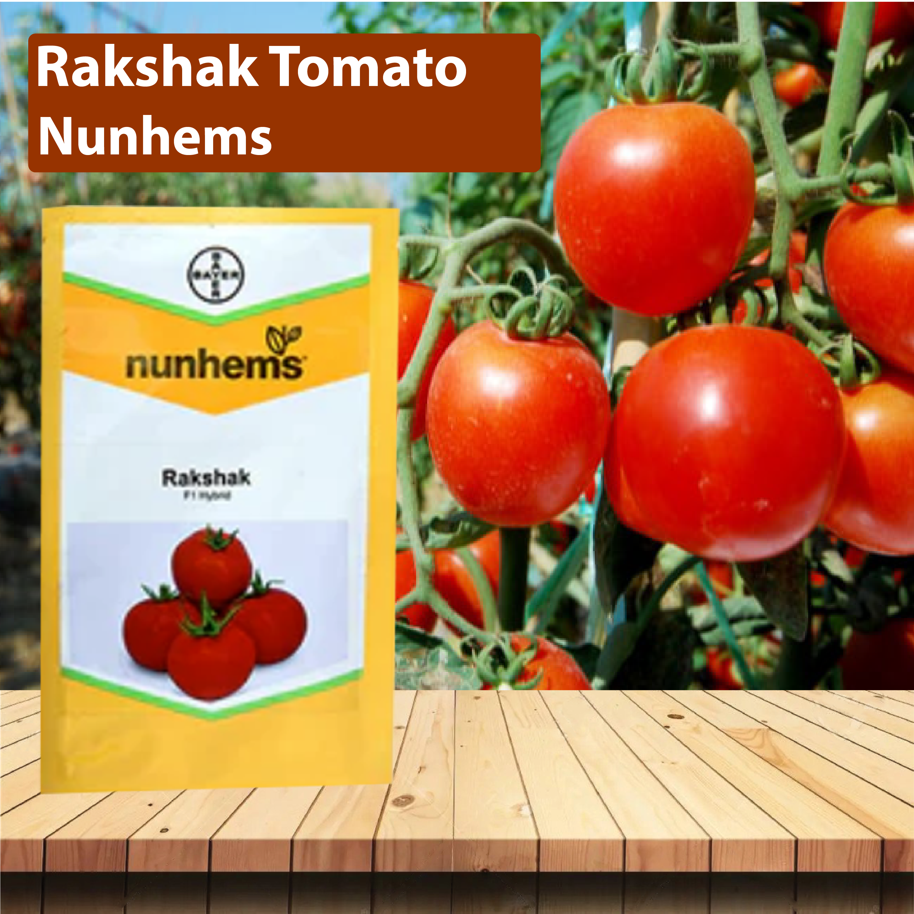 Nunhems Rakshak Tomato Seeds - Pack of 3000 Seeds – Agriplex