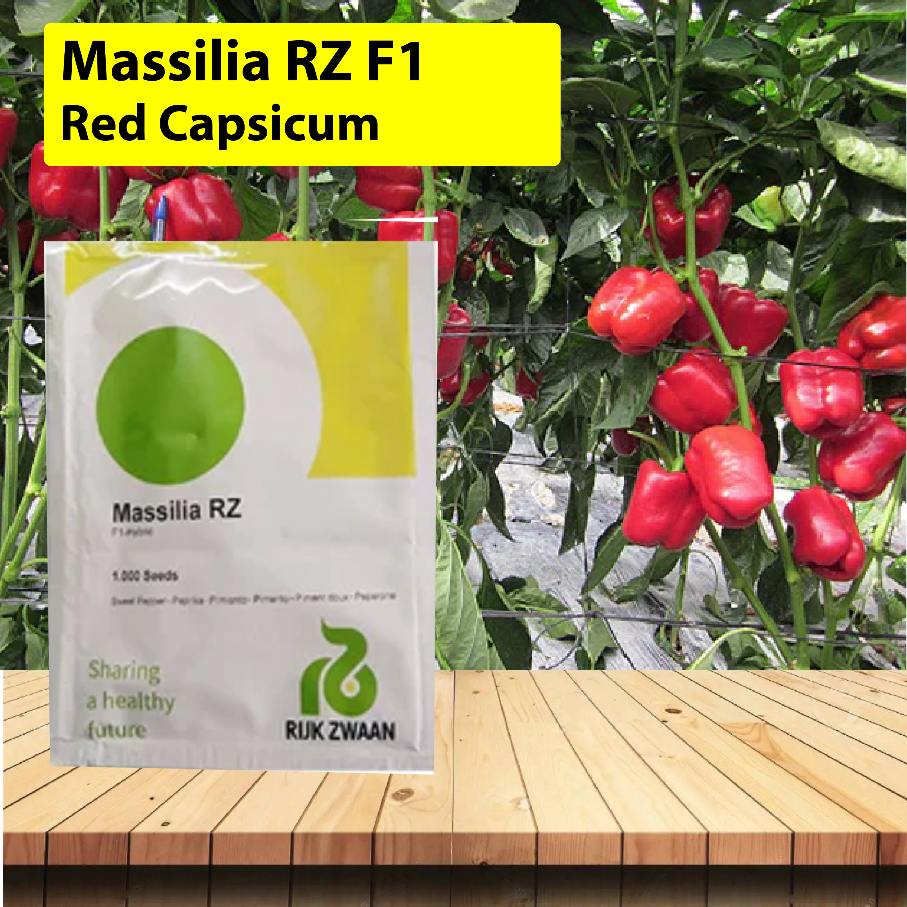 Massilia RZ F1 Red Capsicum Seeds - 1000 SEEDS – Agriplex