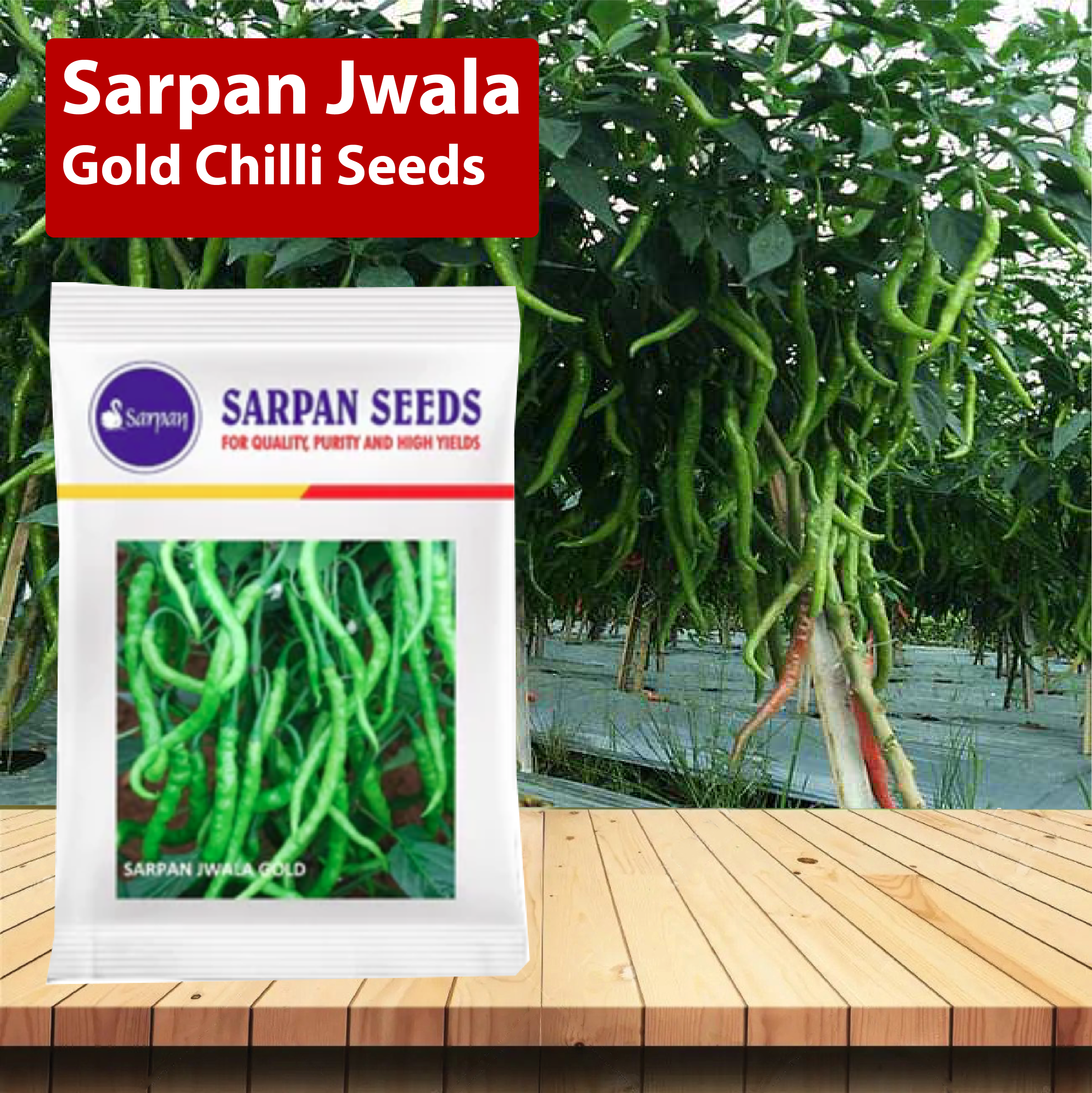 Sarpan Jwala Gold Chilli Seeds - 10 GM – Agriplex