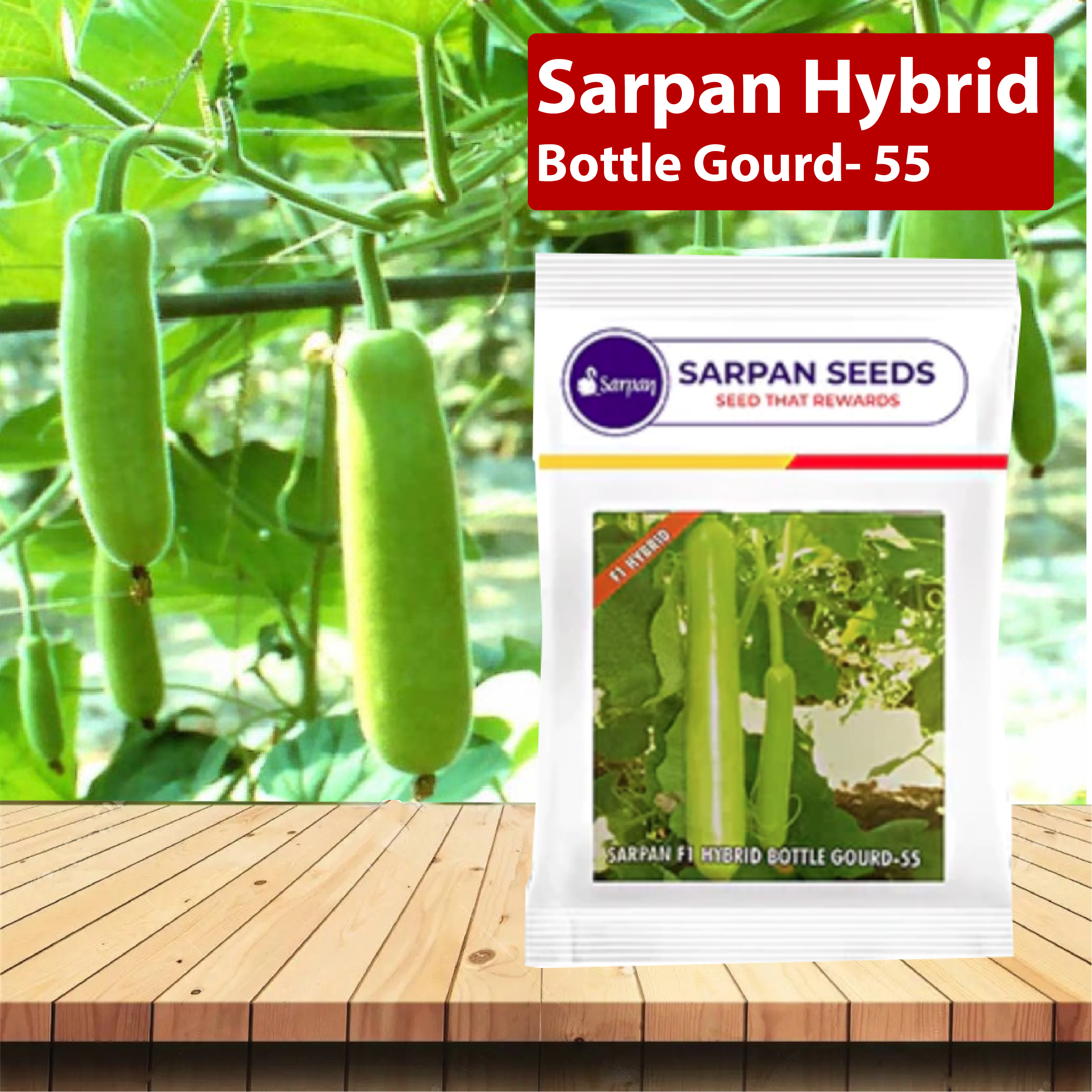 Sarpan Hybrid Bottle Gourd- 55 Seeds - 25 GM (Pack of 2) – Agriplex