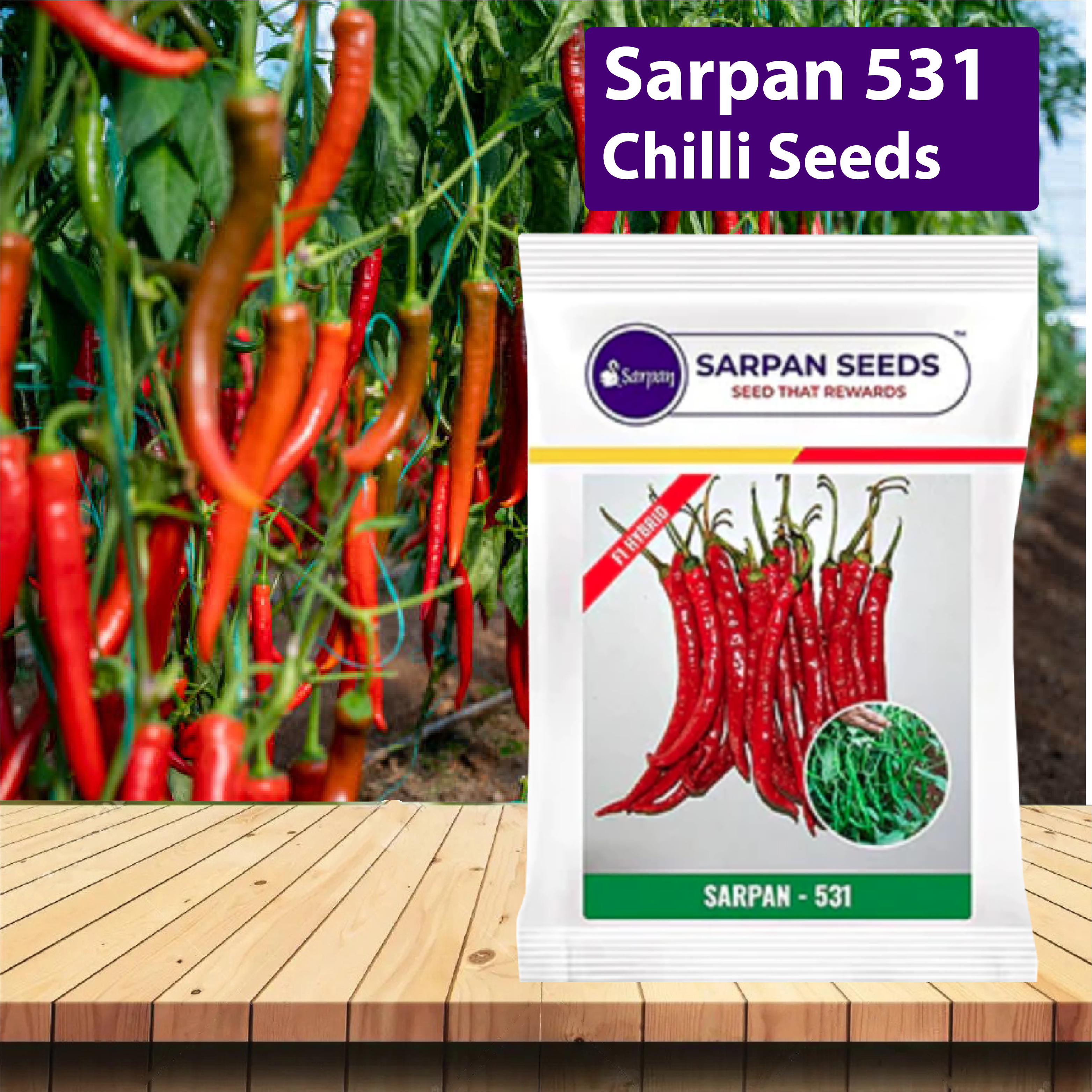 Sarpan 531 Chilli Seeds – Agriplex
