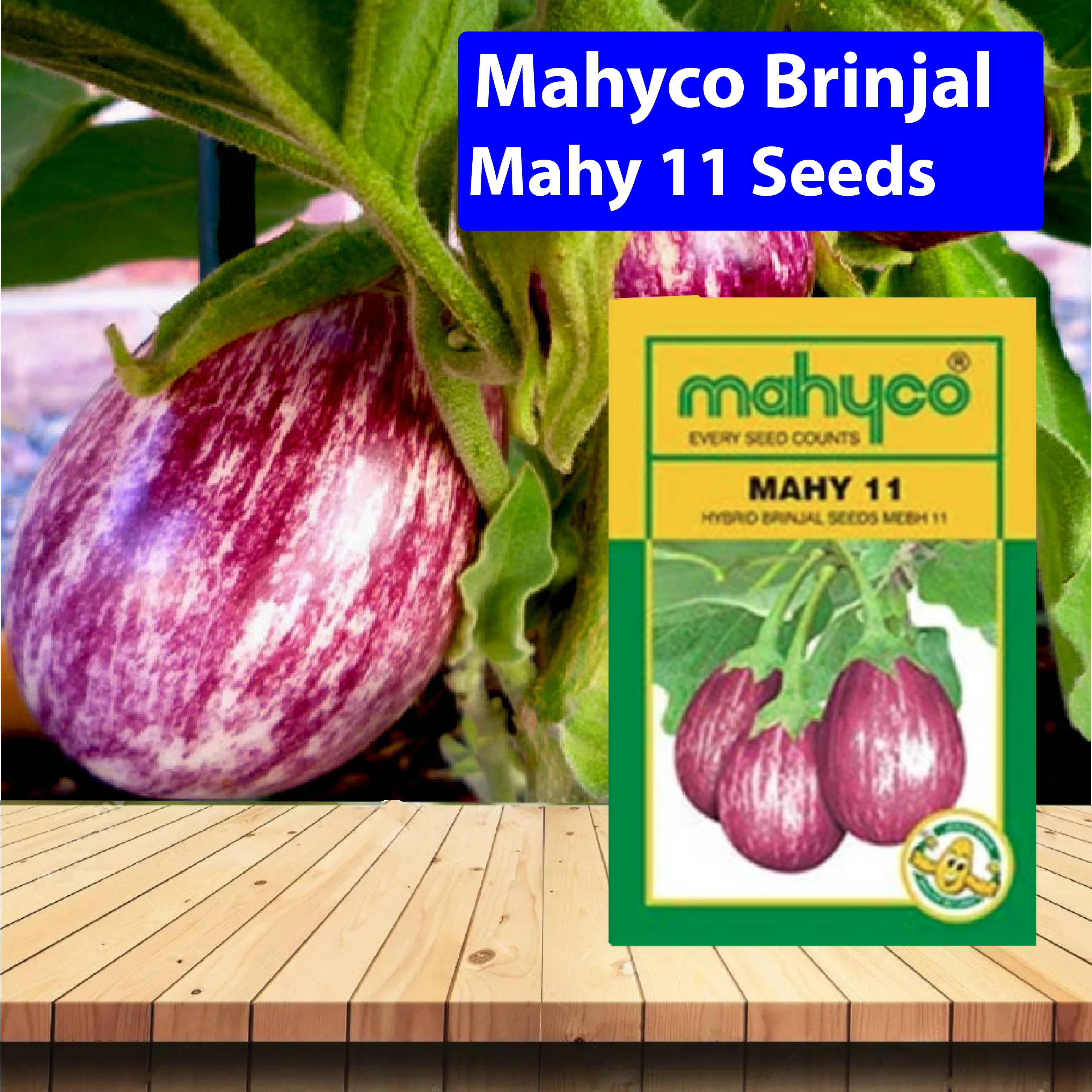 Mahyco Brinjal Mahy 11 Seeds – Agriplex