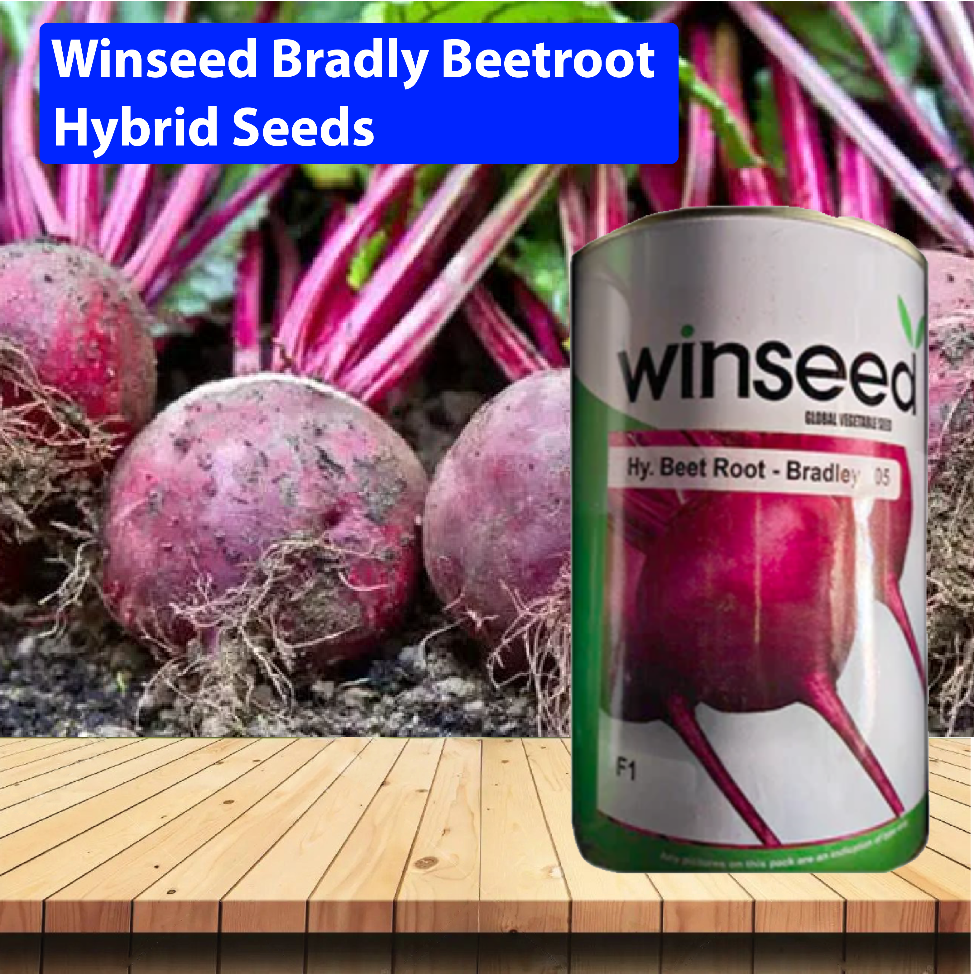 Winseed Bradly Beetroot Hybrid Seeds – Agriplex