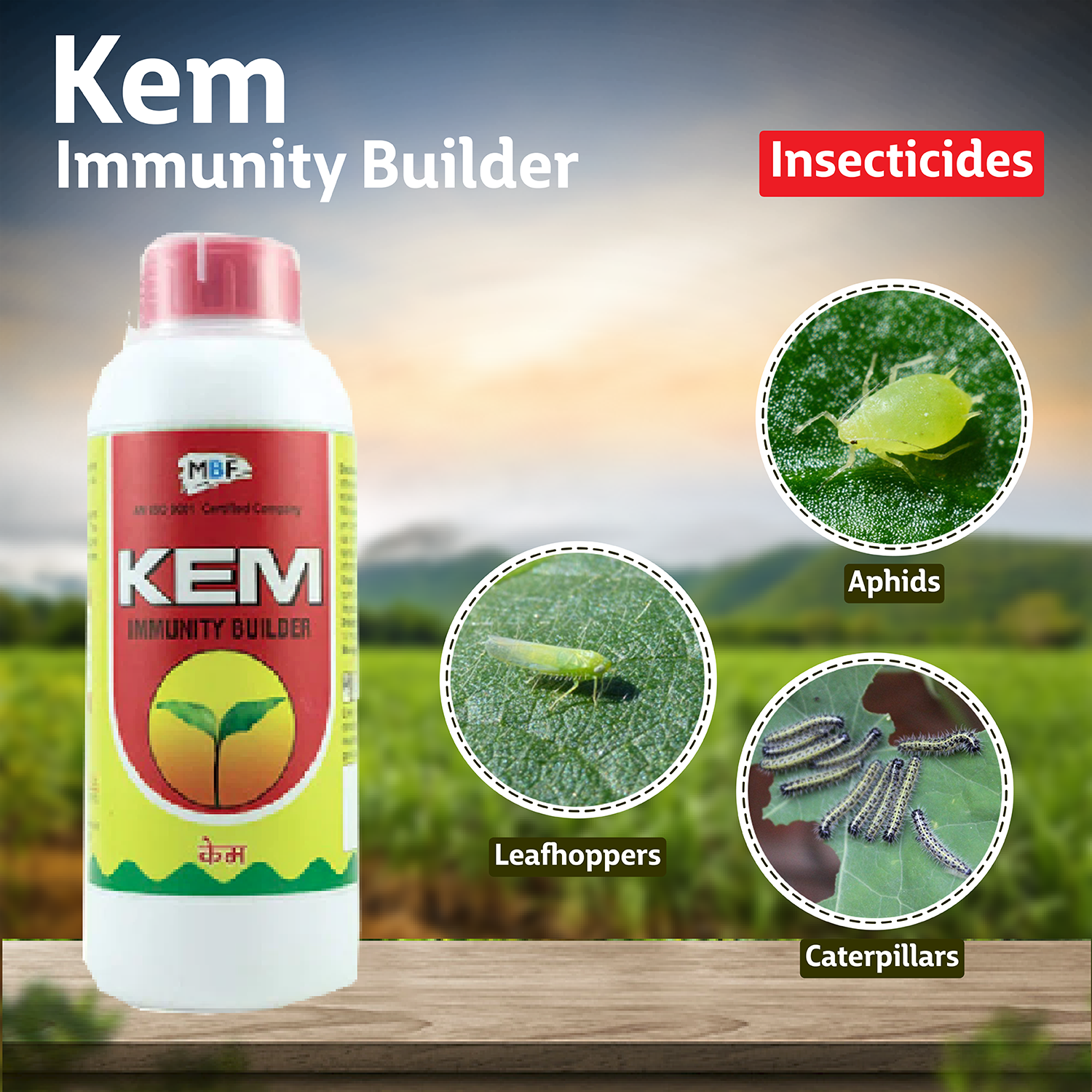 MBF Kem Insecticide – Agriplex