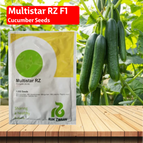 Multistar RZ F1 Cucumber Seeds - 1000 SEEDS – Agriplex