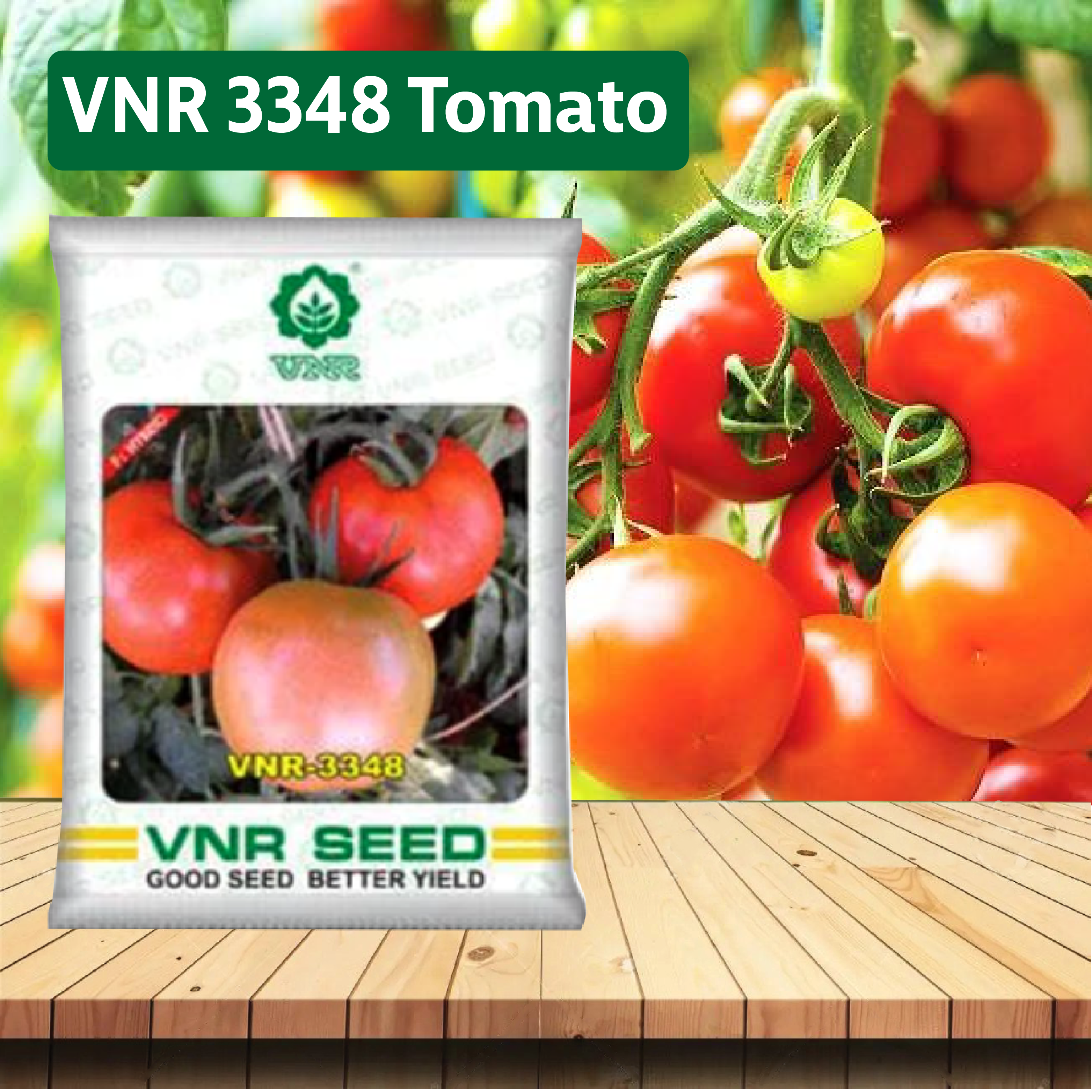 VNR 3348 Tomato - 10 GM – Agriplex
