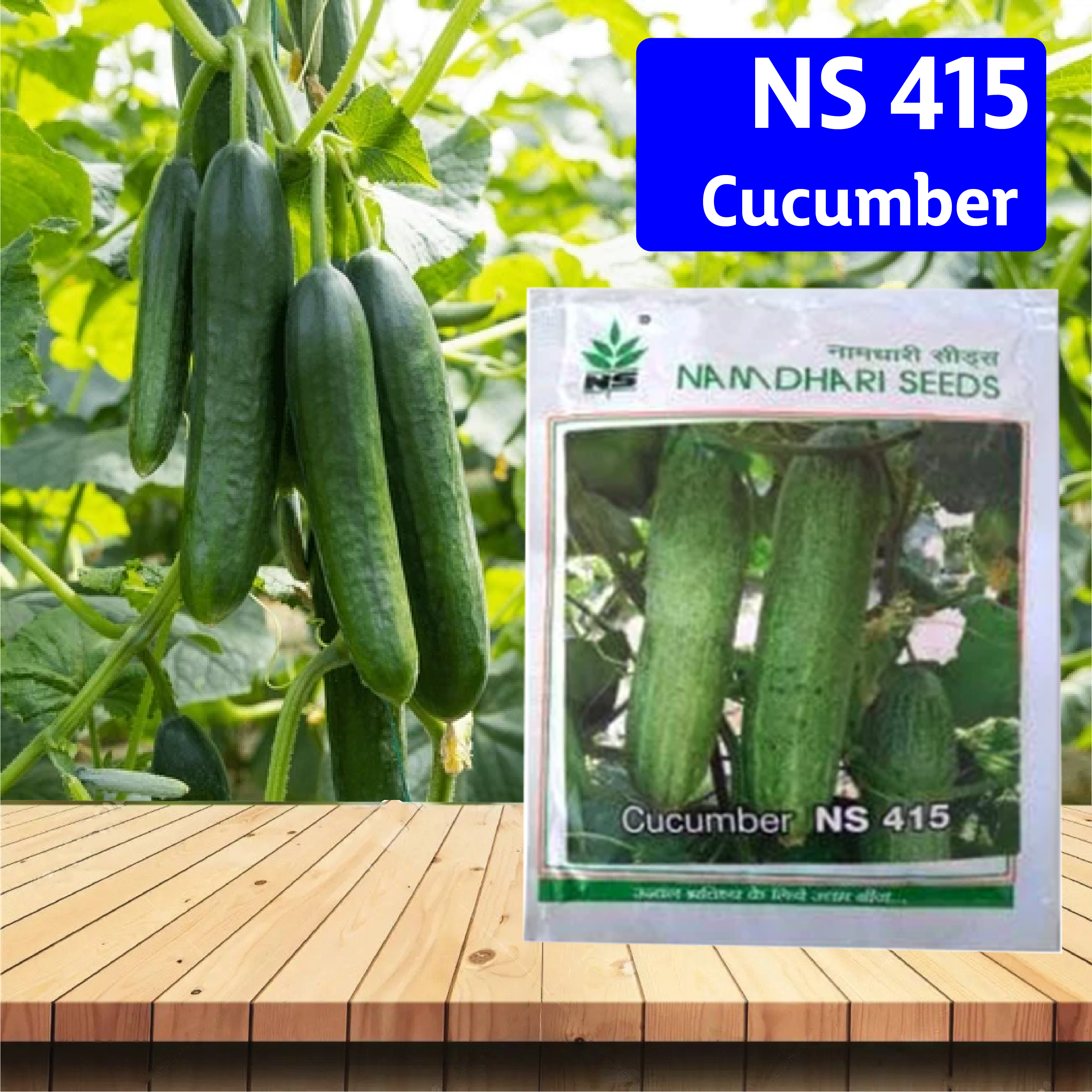 NS 415 Cucumber Seeds – Agriplex