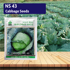 NS 43 Cabbage Seeds – Agriplex