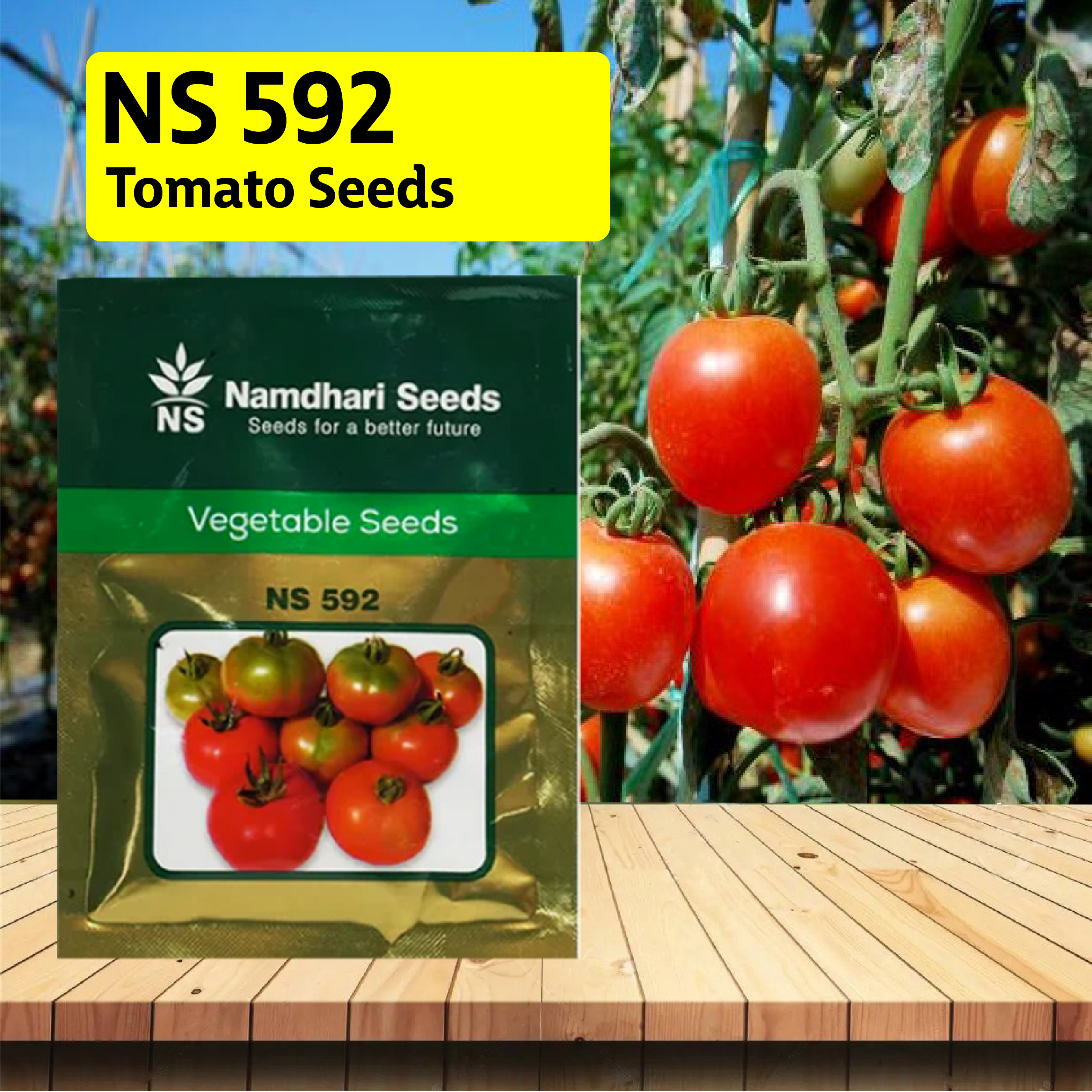 NS 592 Tomato Seeds – Agriplex