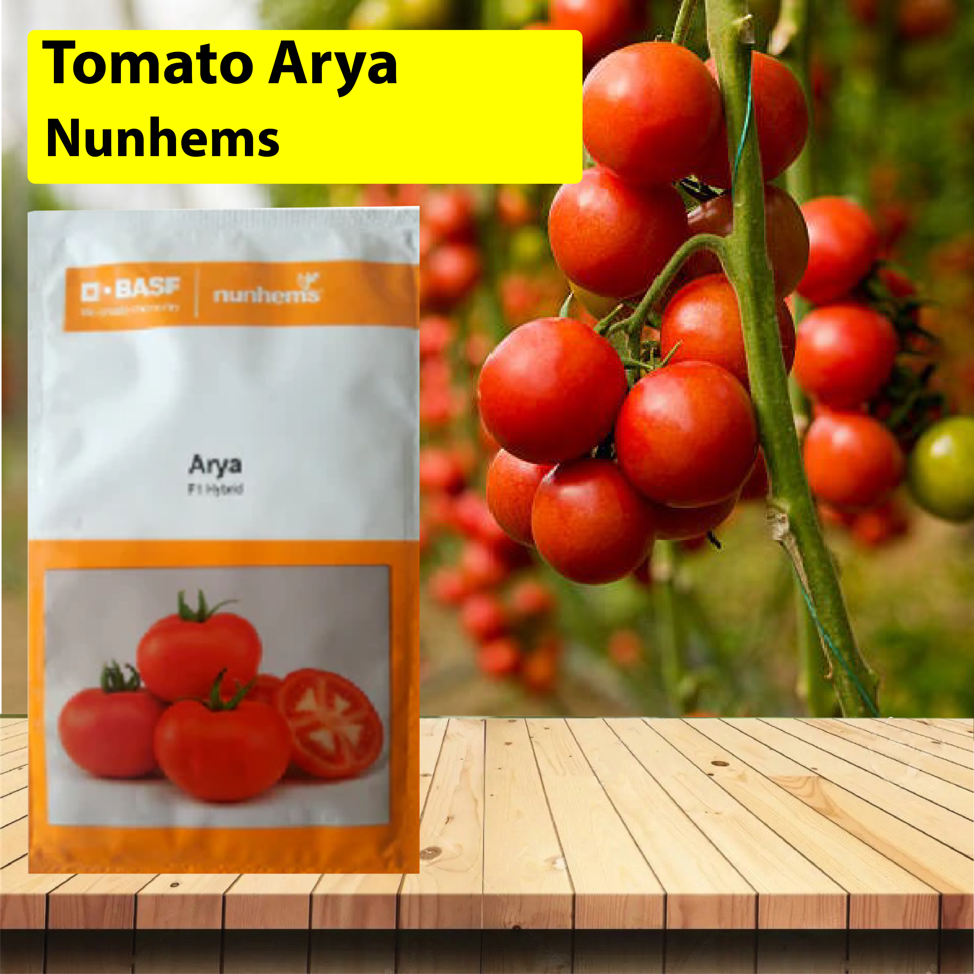 Nunhems Arya Tomato - 3000 SEEDS – Agriplex