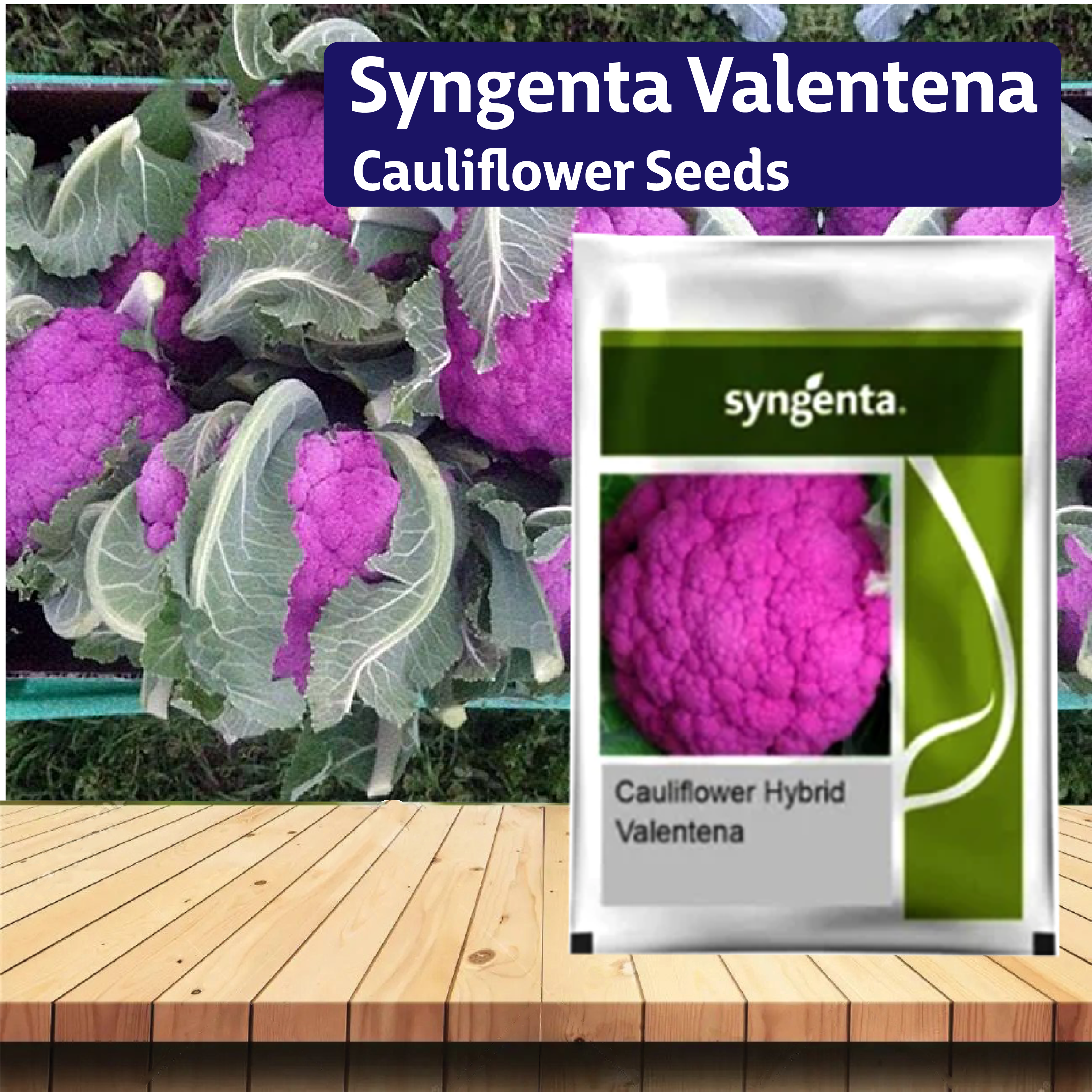 Syngenta Valentena Cauliflower Seeds – Agriplex