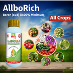 Multiplex Allborich Liquid Boron Fertilizer (Boron 10%) – Agriplex
