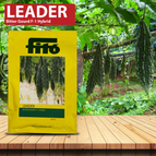 FITO Leader Bittergourd Seeds – Agriplex