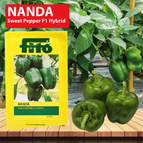 FITO Nanda Capsicum Seeds – Agriplex