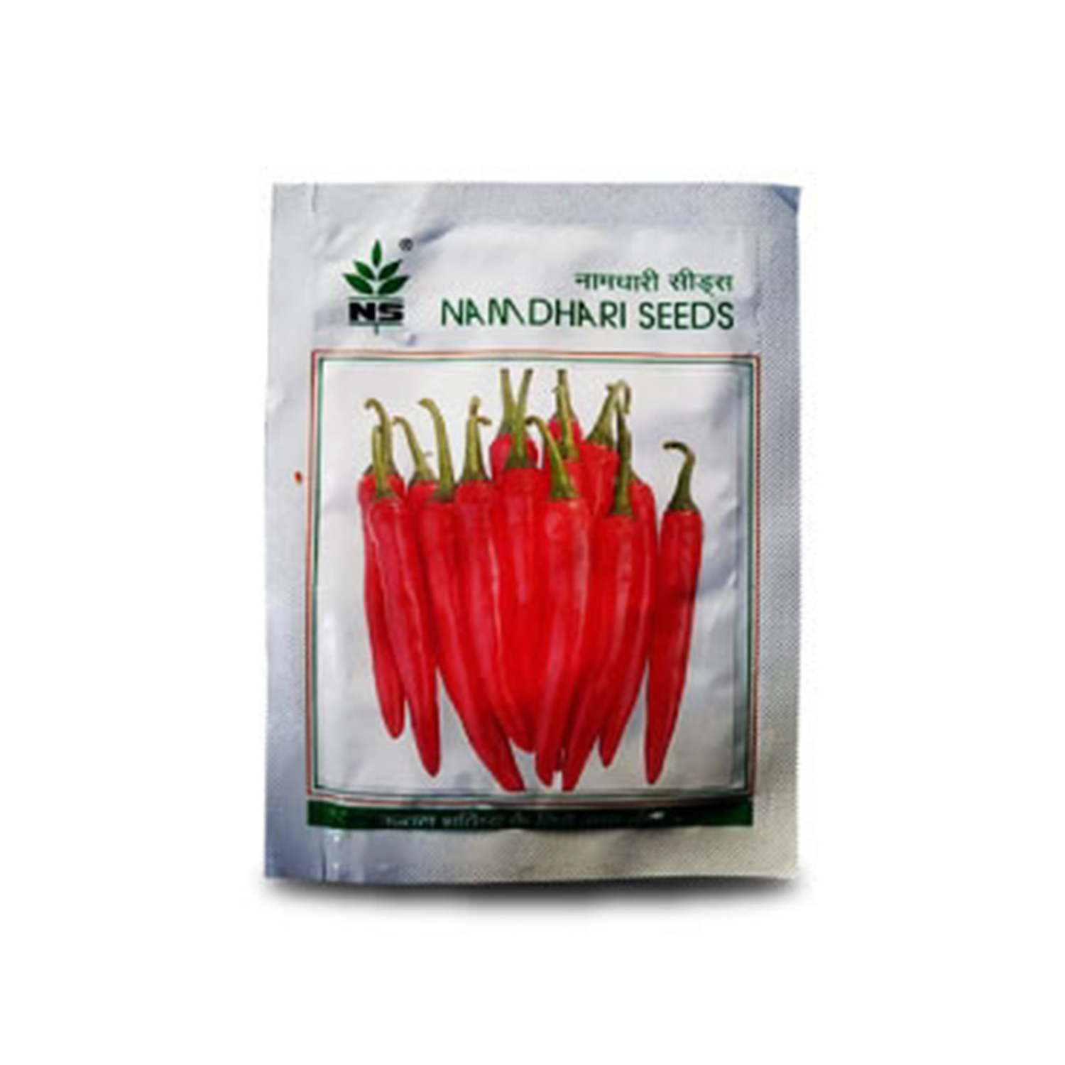 NS 1840 Chilli Seeds – Agriplex