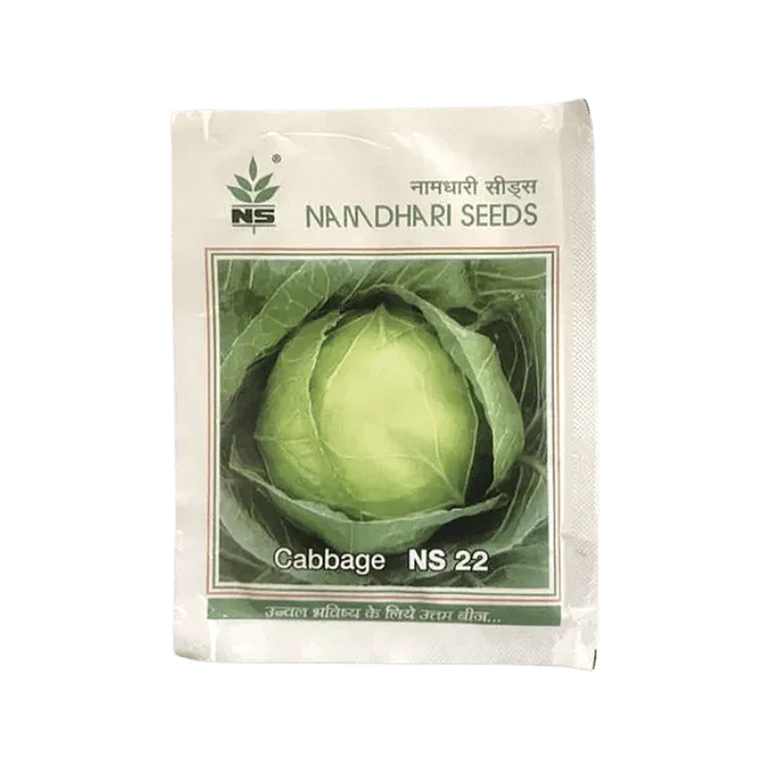 NS 22 Cabbage Seeds – Agriplex