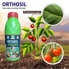 Multiplex Orthosil (Ortho Silicic Acid 2%) Silicon Fertilizer – Agriplex