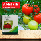 Seminis Hybrid Tomato Abhilash Seeds – Agriplex