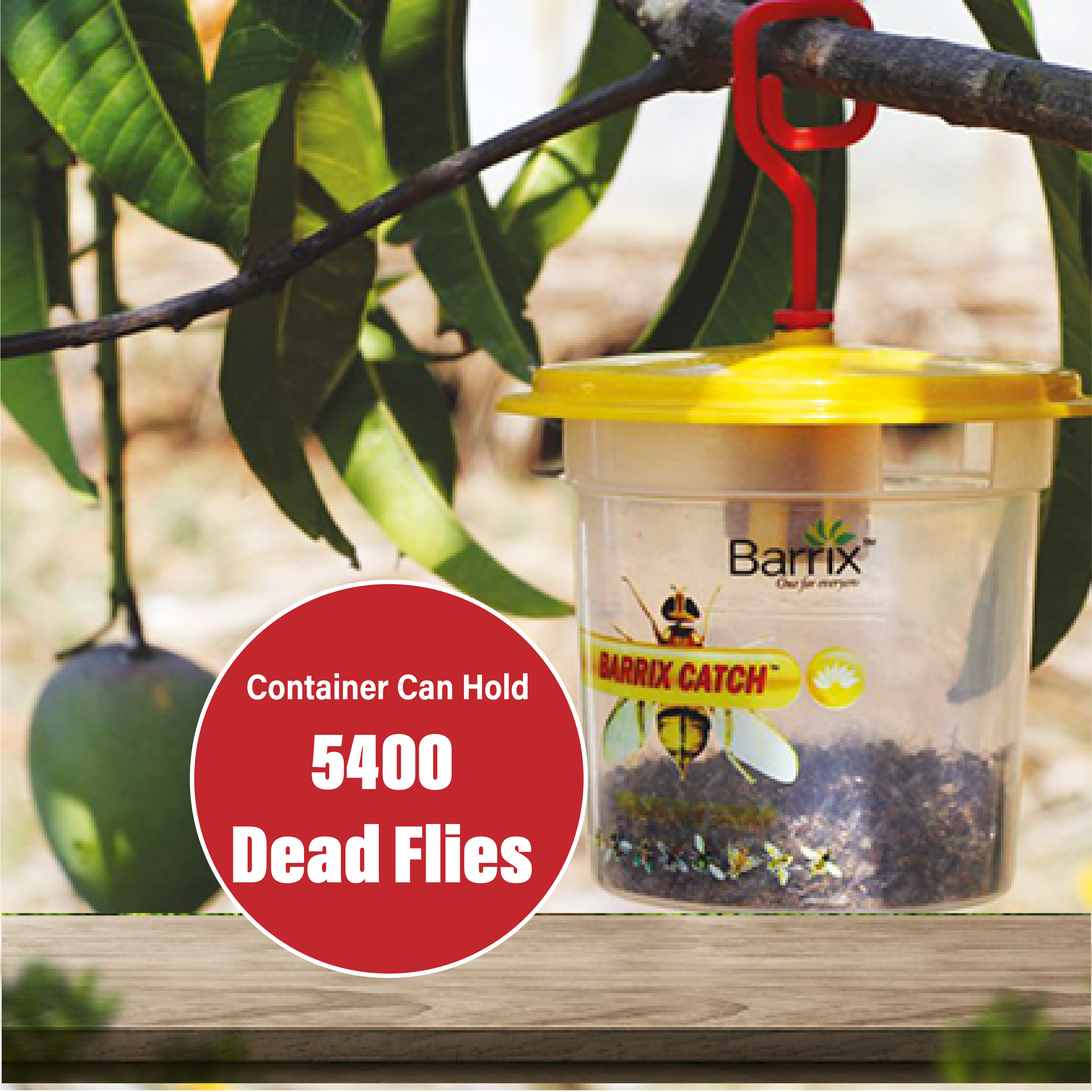 Barrix Catch Fruit Fly Lure + Trap - 1 UNIT – Agriplex