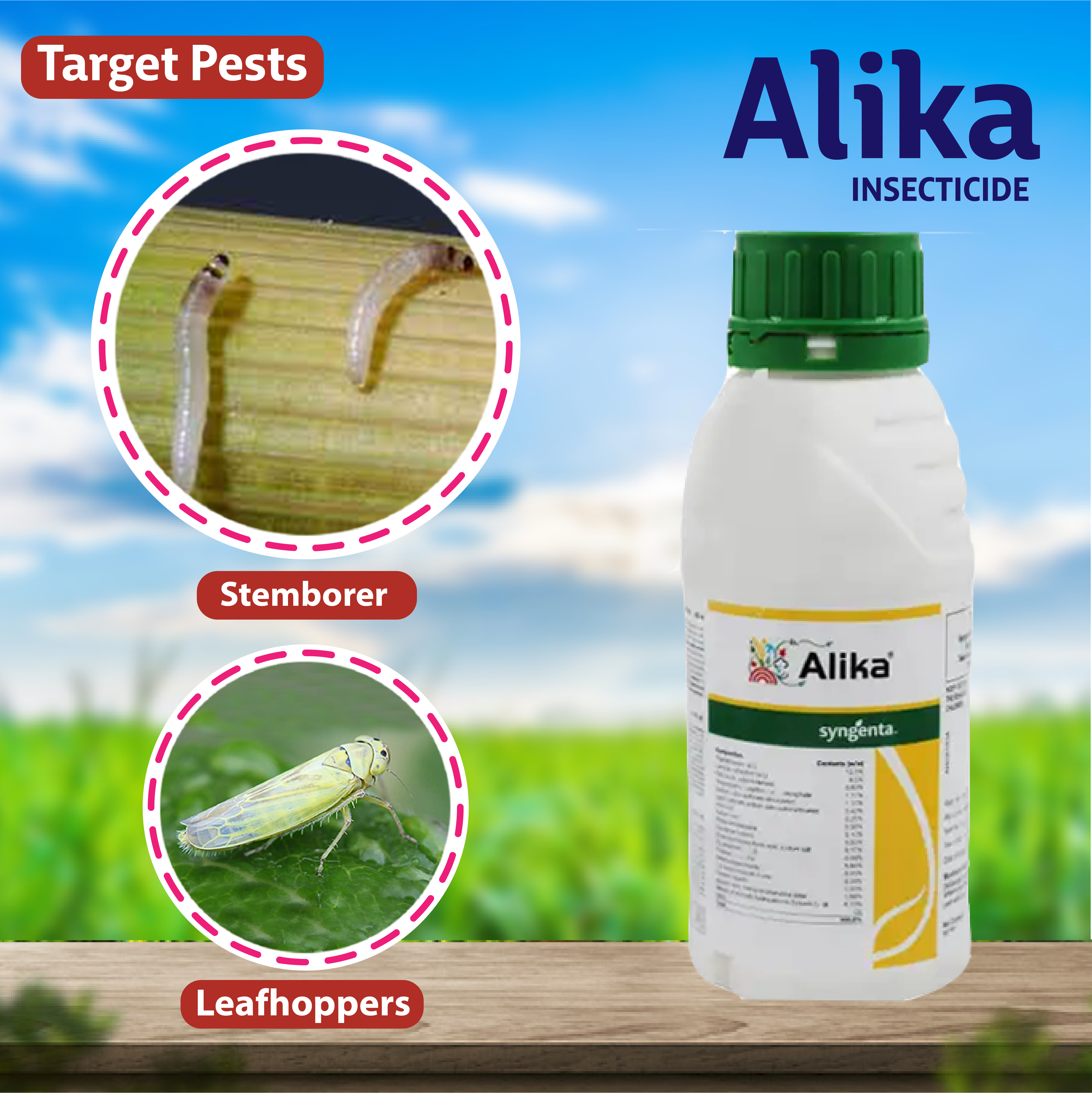 Syngenta Alika Insecticide – Agriplex
