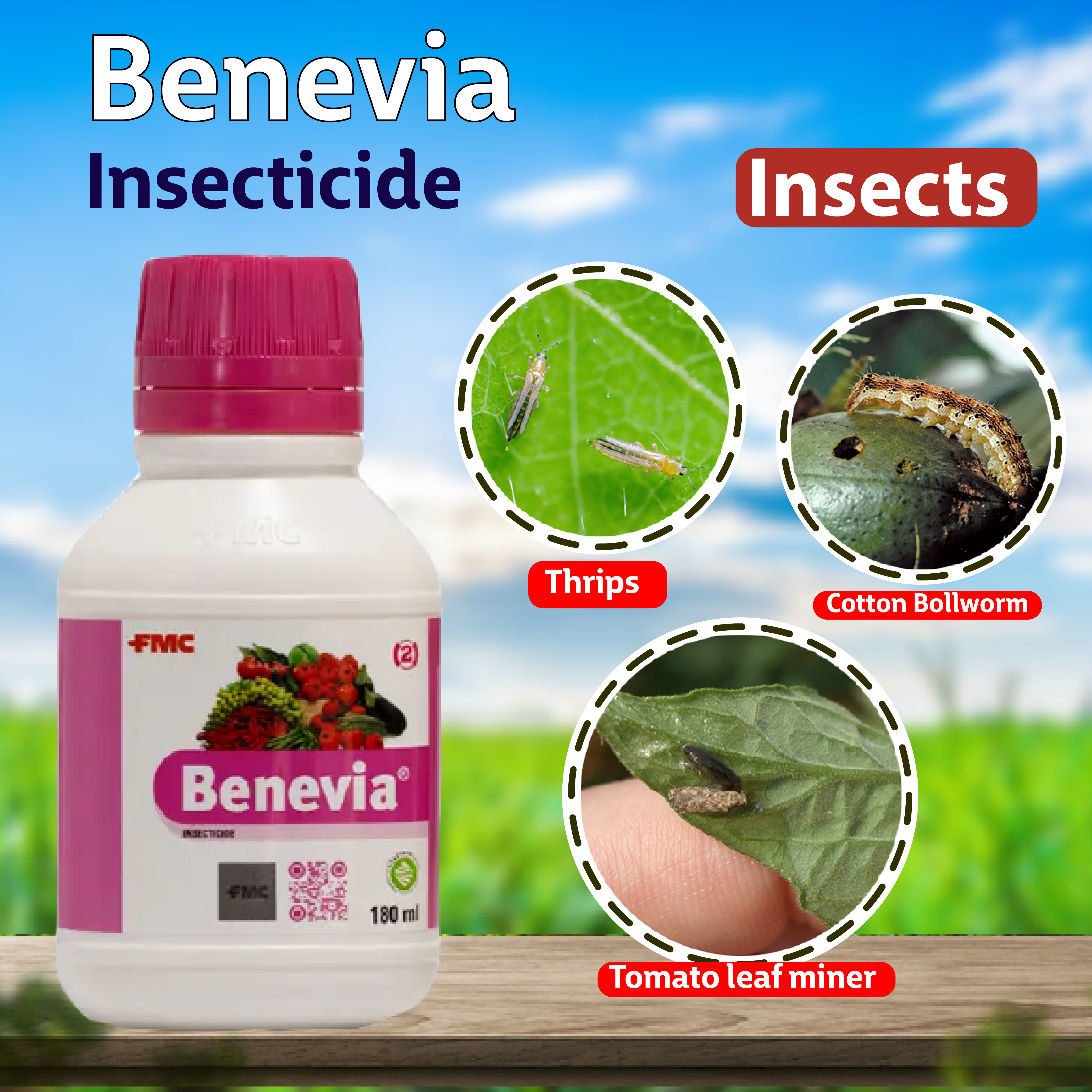 FMC Benevia Insecticide (CYANTRANILIPROLE 10.26% OD) – Agriplex