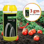 BASF Cabrio Top Fungicide – Agriplex