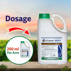 Syngenta Cruiser 350FS Insecticide – Agriplex