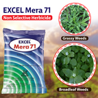 Excel Mera 71 Herbicide ( Glyphosate 71% Sg) – Agriplex