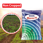 Excel Mera 71 Herbicide ( Glyphosate 71% Sg) – Agriplex