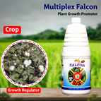 Multiplex Falcon (Plant Growth Promoter) – Agriplex