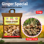 Multiplex Ginger Special (Multi Micronutrient Fertilizer) - 8 KG – Agriplex