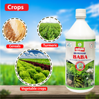 Multiplex Baba Bio Insecticide Beauveria bassiana- Liquid – Agriplex