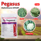 Syngenta Pegasus (Diafenthiuron 50%WP) Insecticide – Agriplex