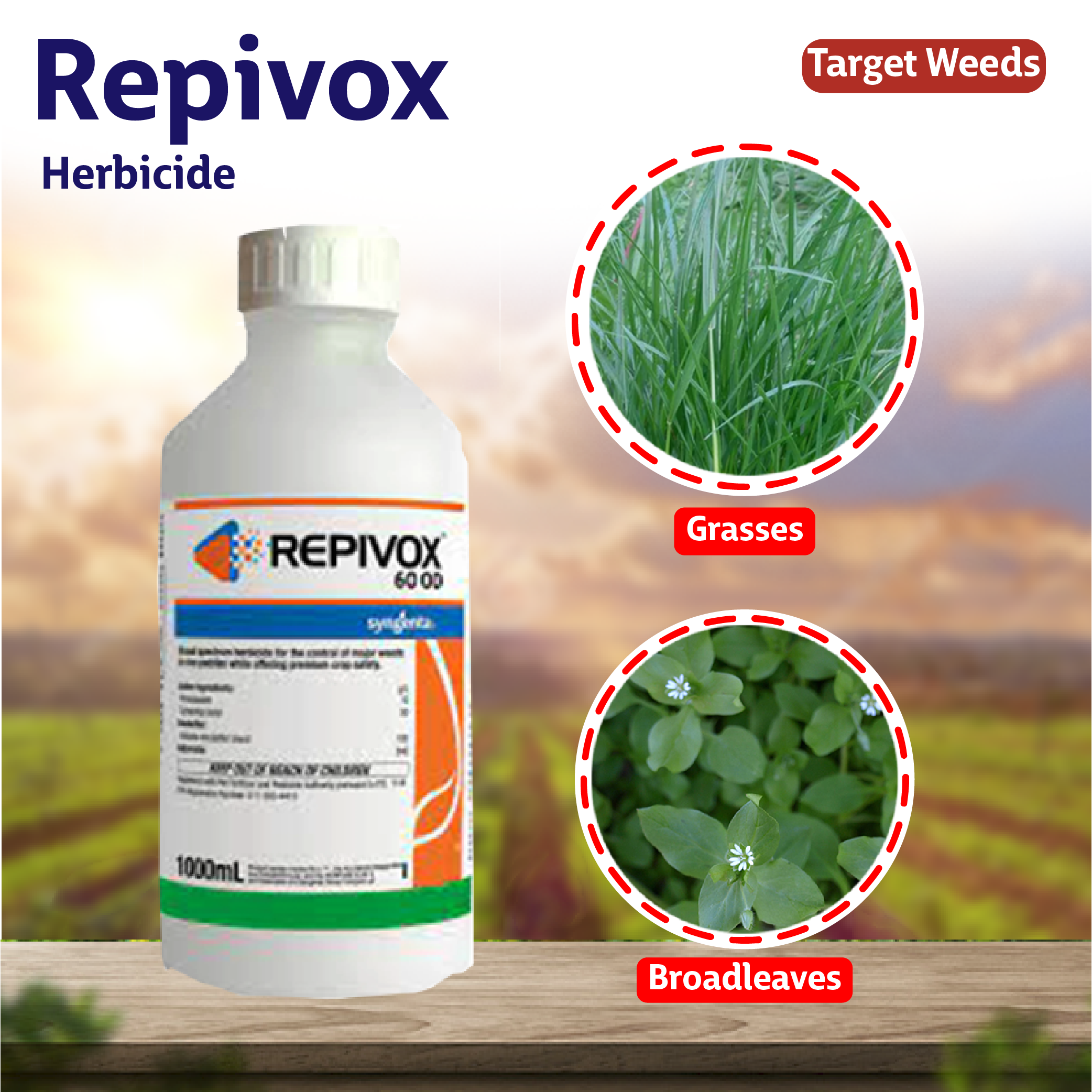 Syngenta Repivox Herbicide - 1 LT – Agriplex