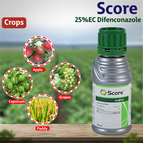 Syngenta Score Fungicide – Agriplex